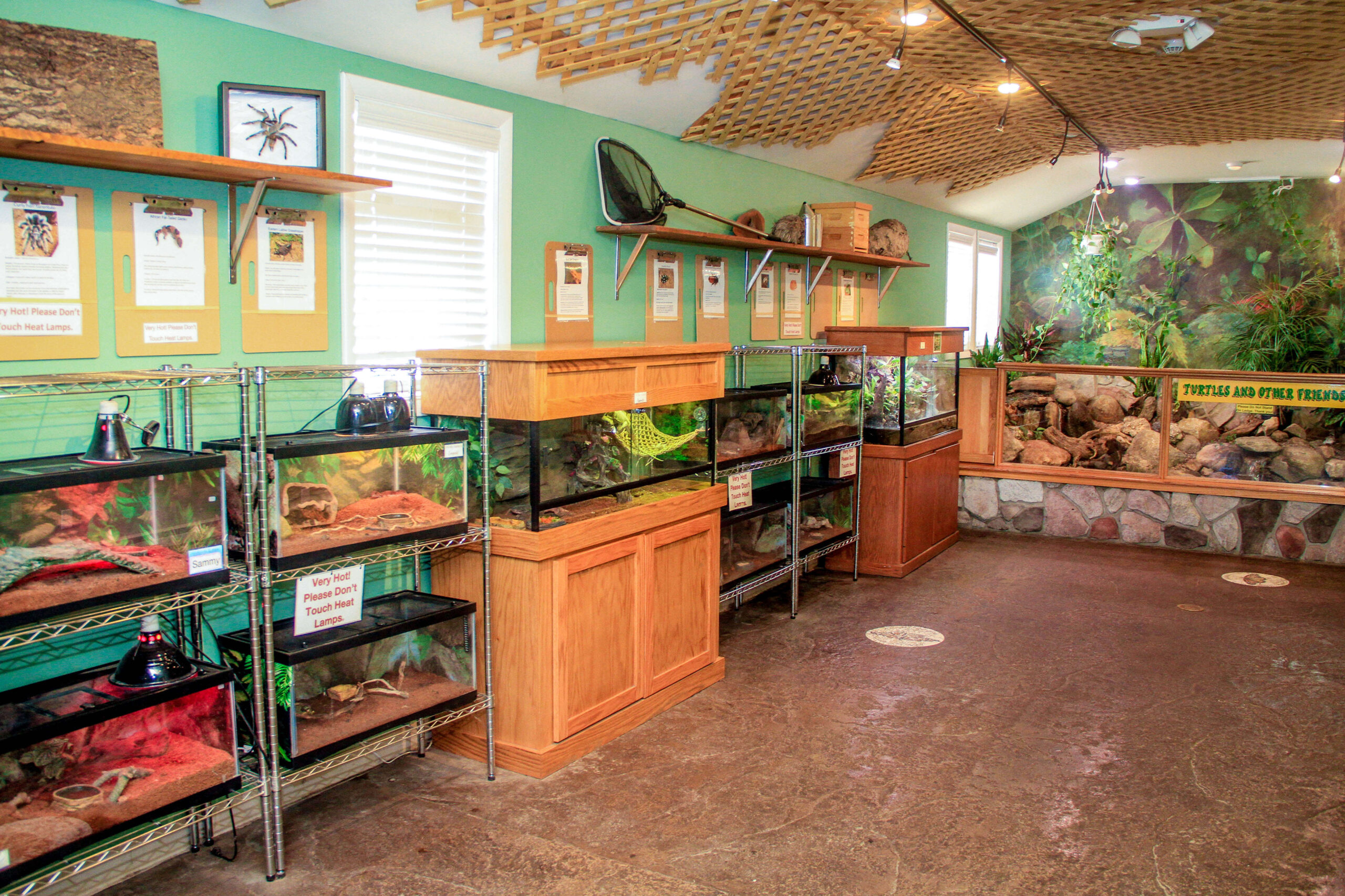 The Butterfly House | Mackinac Island | Butterfly House