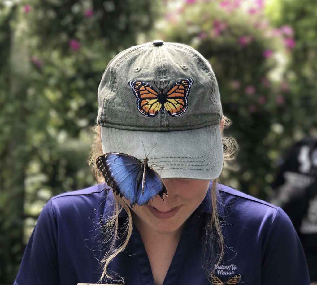 Iconic Green Monarch Hat - Butterfly House